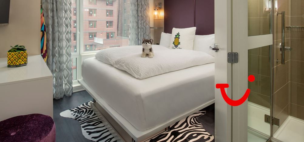 Staypineapple An Artful Hotel Midtown New York (hotel) - New York ...