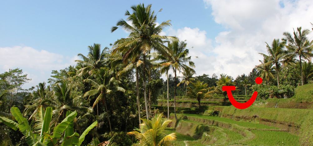 21-daagse rondreis Bali - wandelen (Rondreis) - Indonesië | TUI