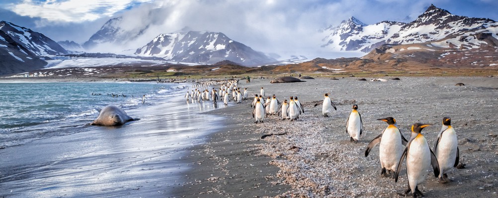 Expeditiecruises - Varen door de noord- en zuidpool