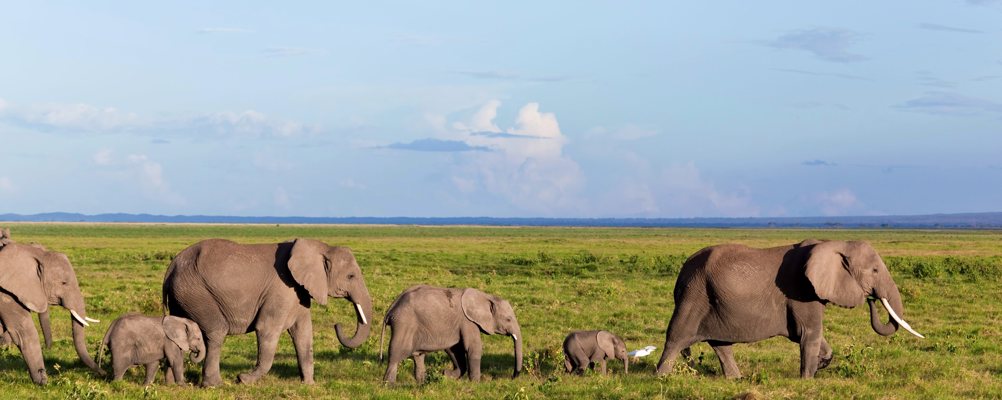 Vakantie Afrika - Veelzijdige vakanties in Afrika Vakantie Afrika - Veelzijdige vakanties in Afrika