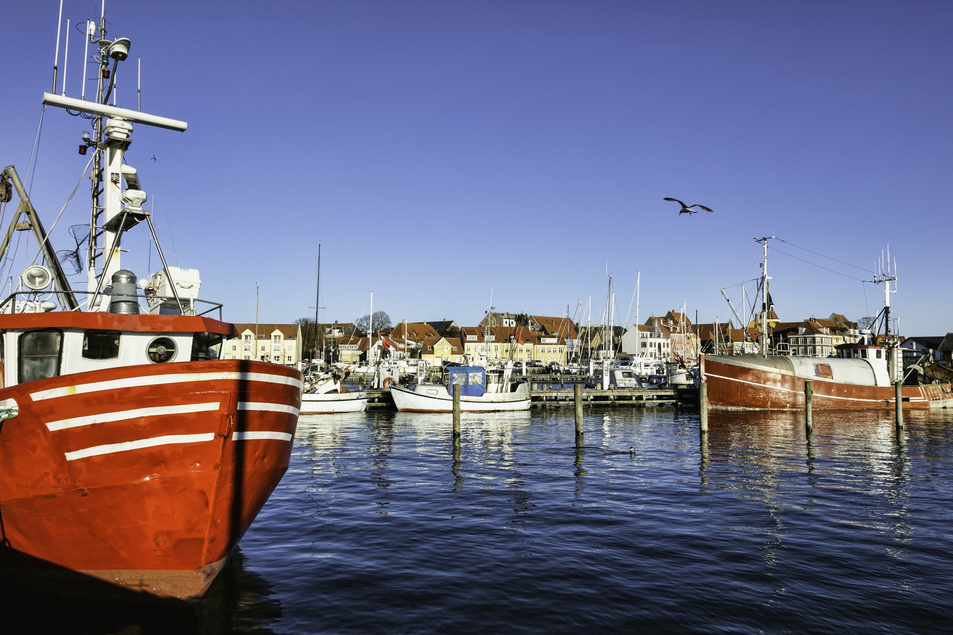 Last Minute Funen - Ontdek het Deense 'tuineiland' | TUI