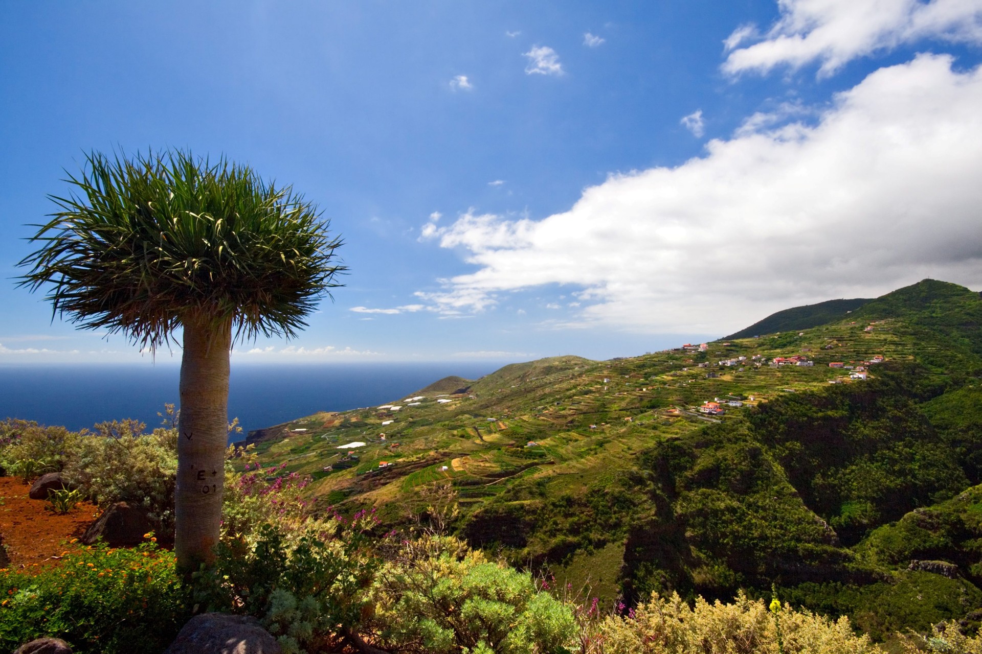 Last Minute Los Llanos de Aridane - Je eigen casita incl huurauto! | TUI