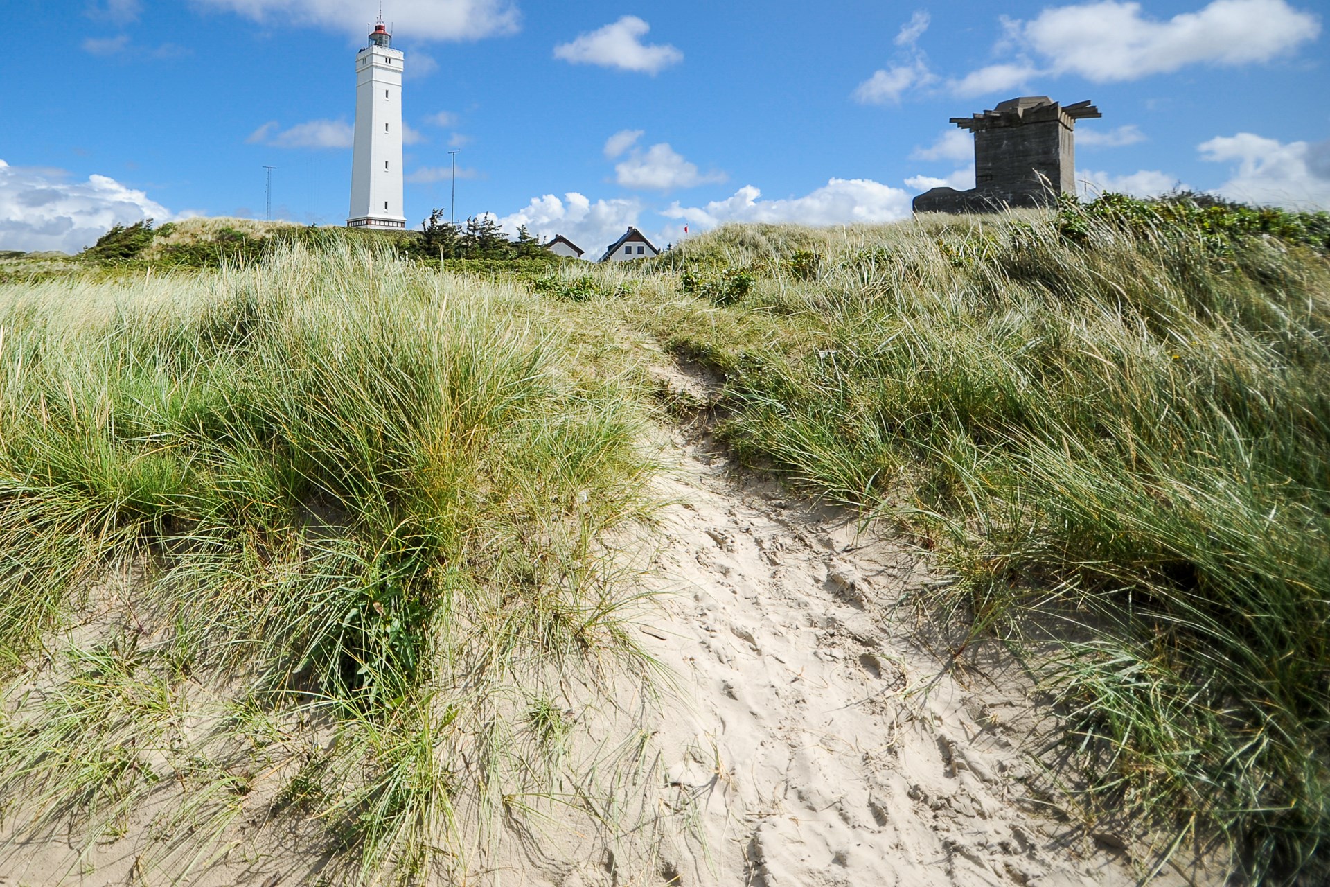Vakantie Blåvand - het strand en de duinen van Blåvand | TUI