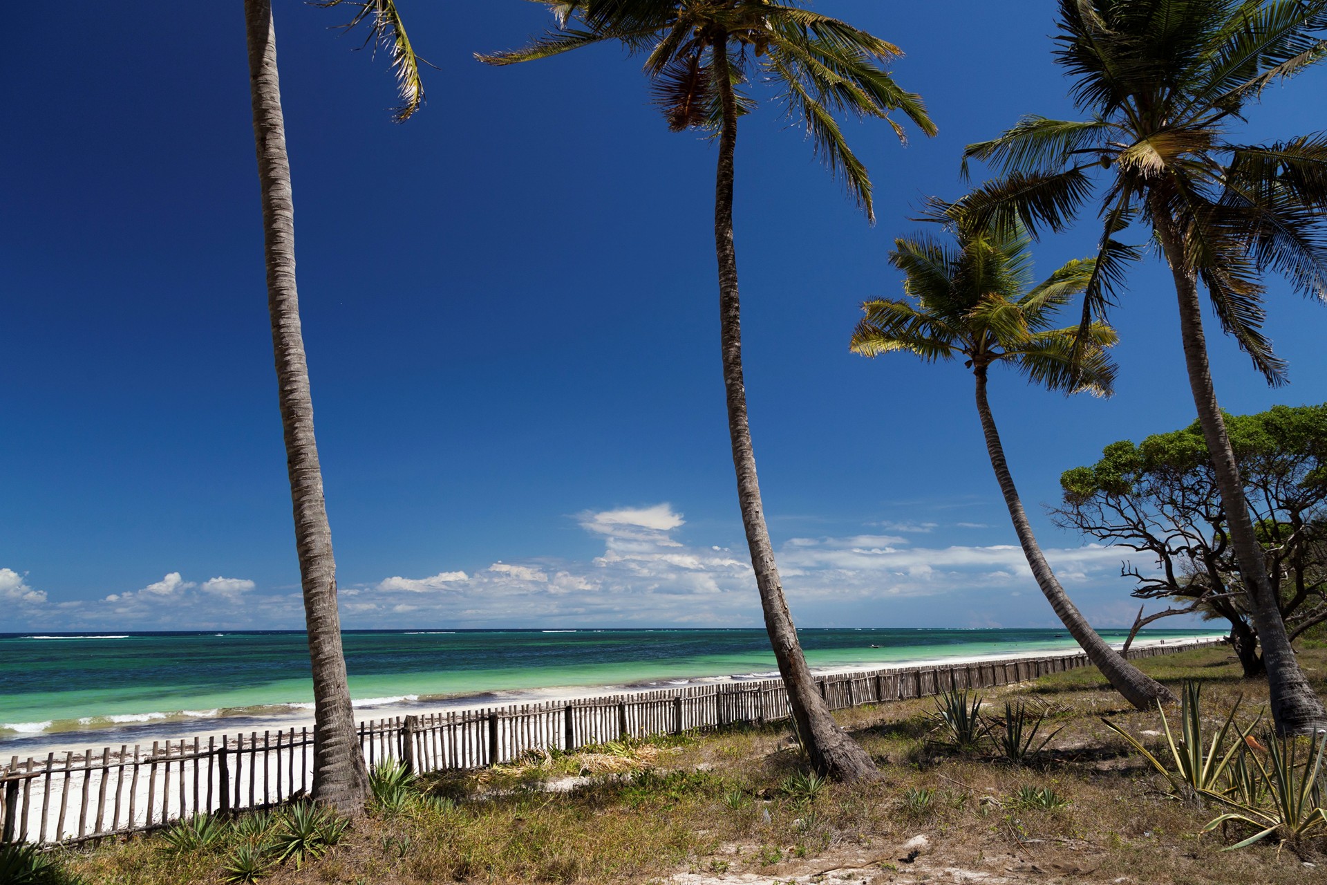 Vakantie Diani Beach 2020 - Goedkoop naar Diani Beach | TUI