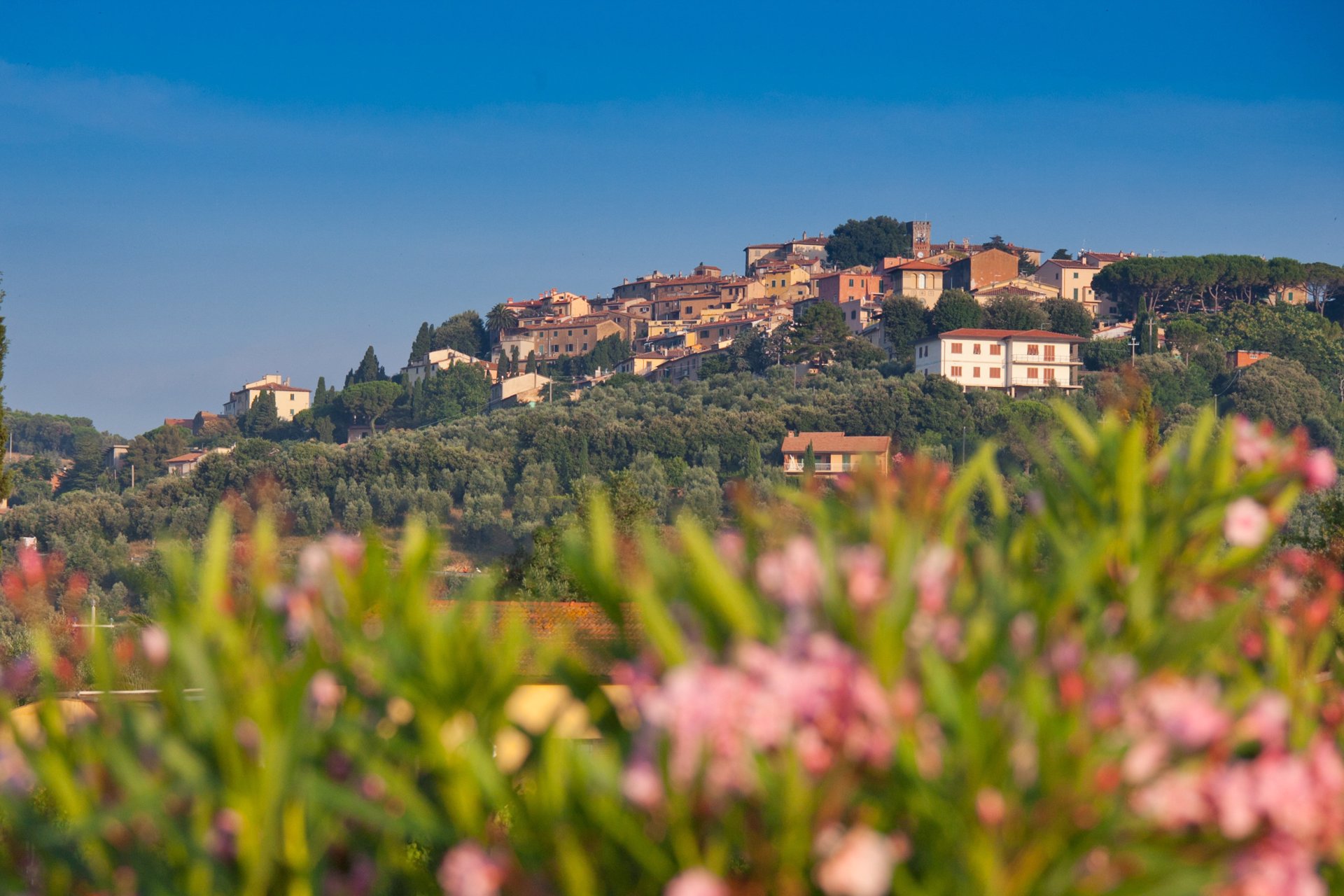 Vakantie Donoratico - Voordelige zonvakantie aan de kust | TUI