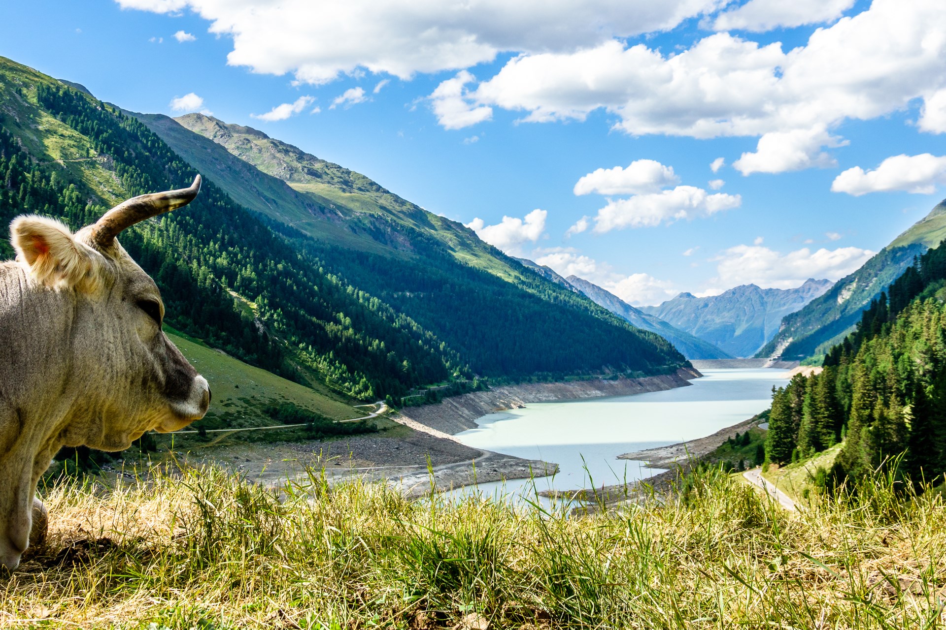 Vakantie Fliess - Vakanties naar het Tiroolse Fliess | TUI