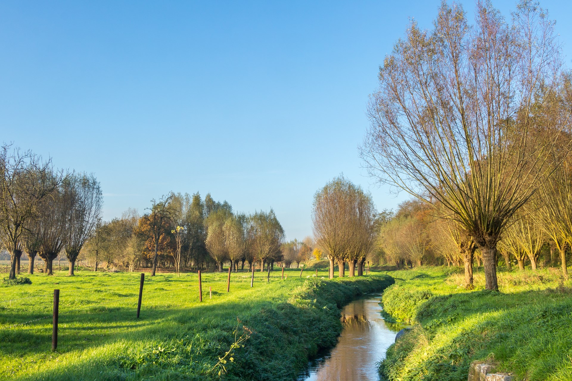 Vakantie Gulpen - Overnachten op de Zuid-Limburgse heuvels | TUI