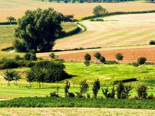 Vakantie Nederland - Goedkoop op vakantie in Nederland | TUI