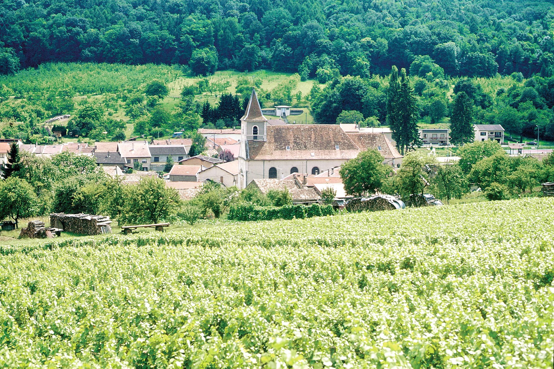 Vakantie Lotharingen 2020/2021 - Goedkoop naar Lotharingen | TUI