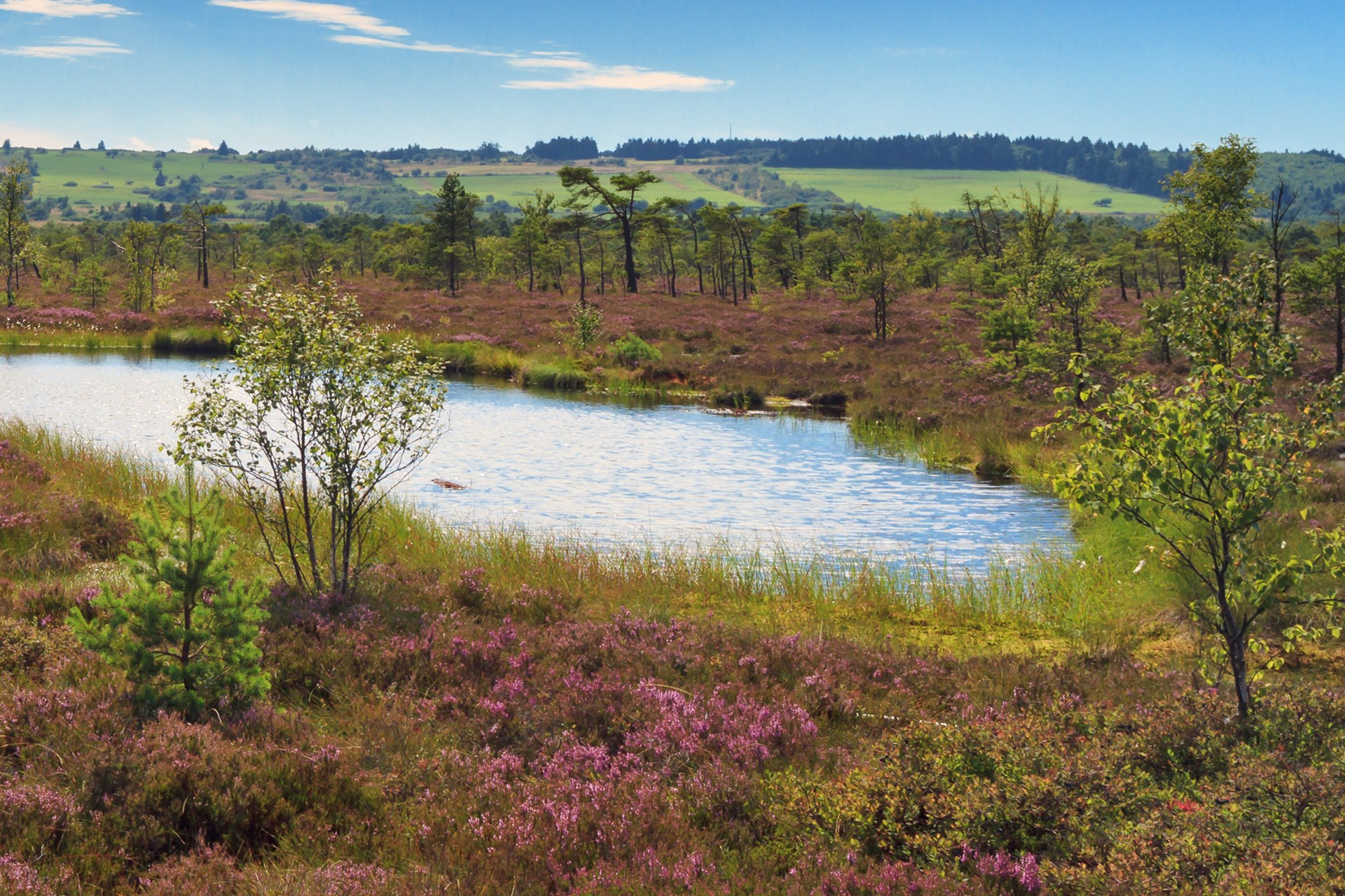 Vakantie Rhön - Vakantie voor jong en oud in de natuur | TUI