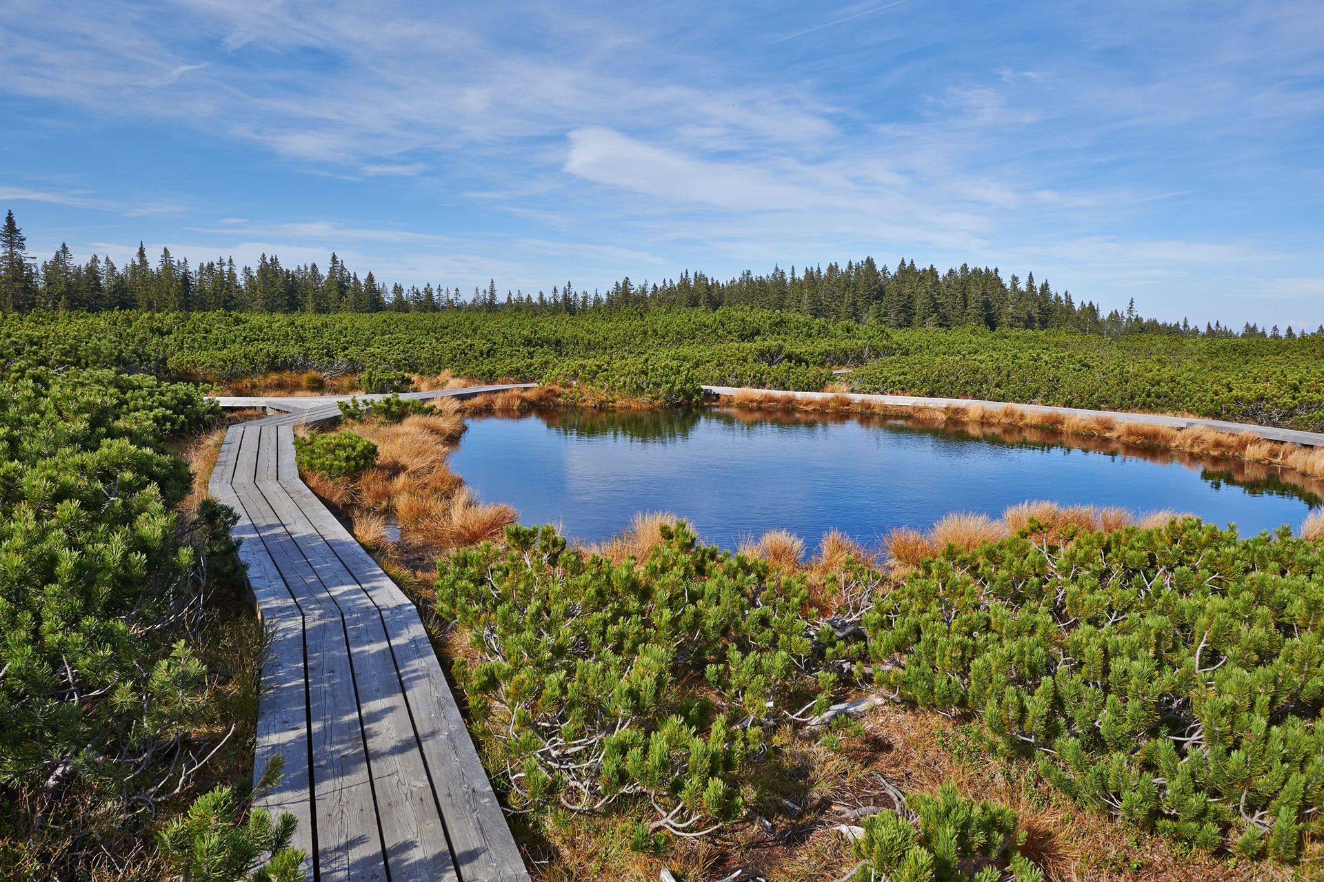 Vakantie Rogla - Actieve vakantie in de frisse berglucht | TUI