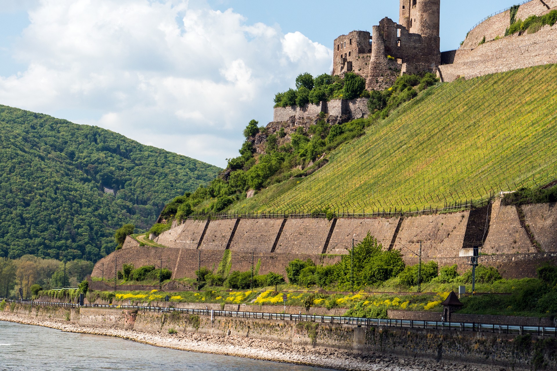 Vakantie Rüdesheim | TUI