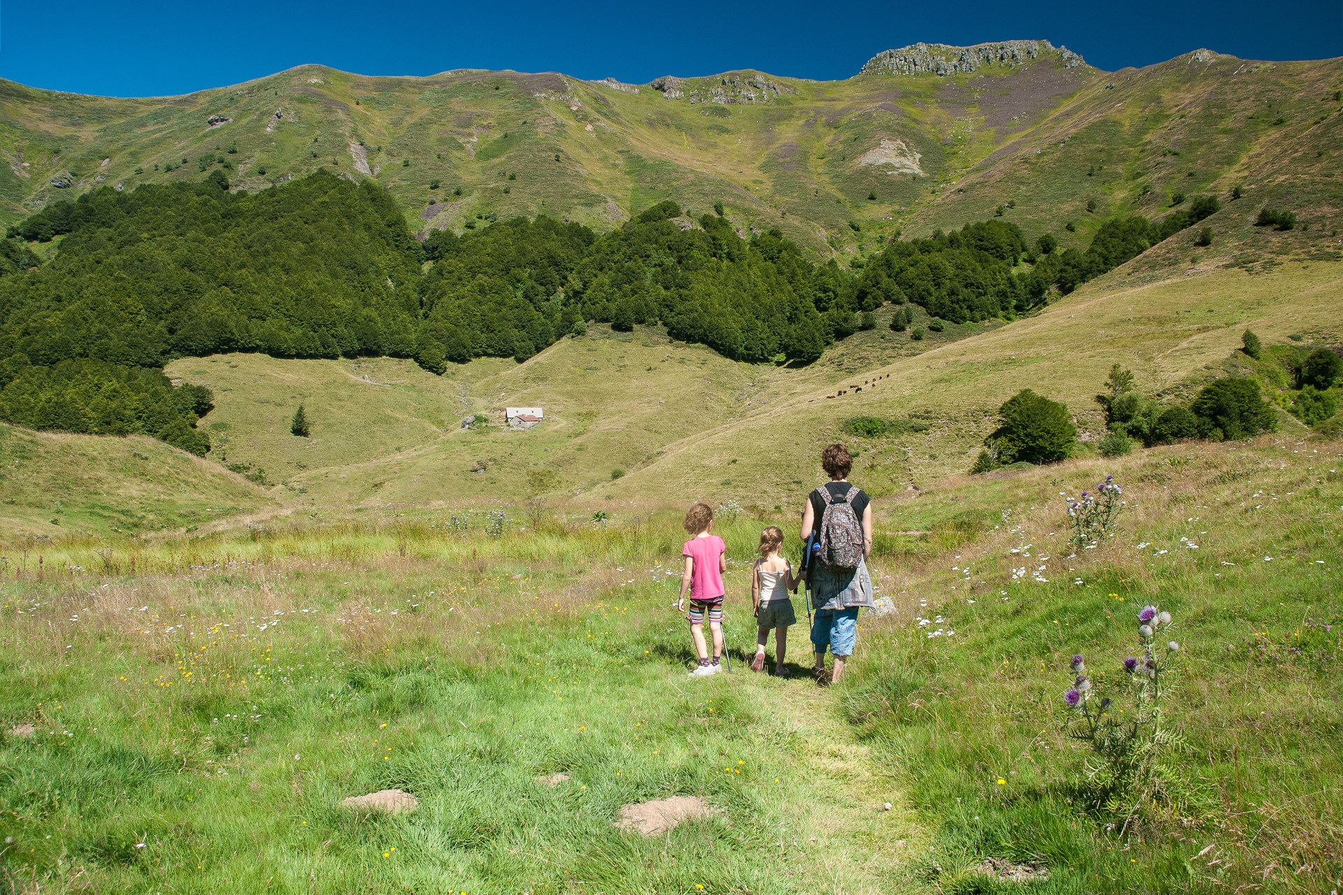 Vakantie Vic sur Cère – Geniet van rust in de Vallée de la Cère | TUI