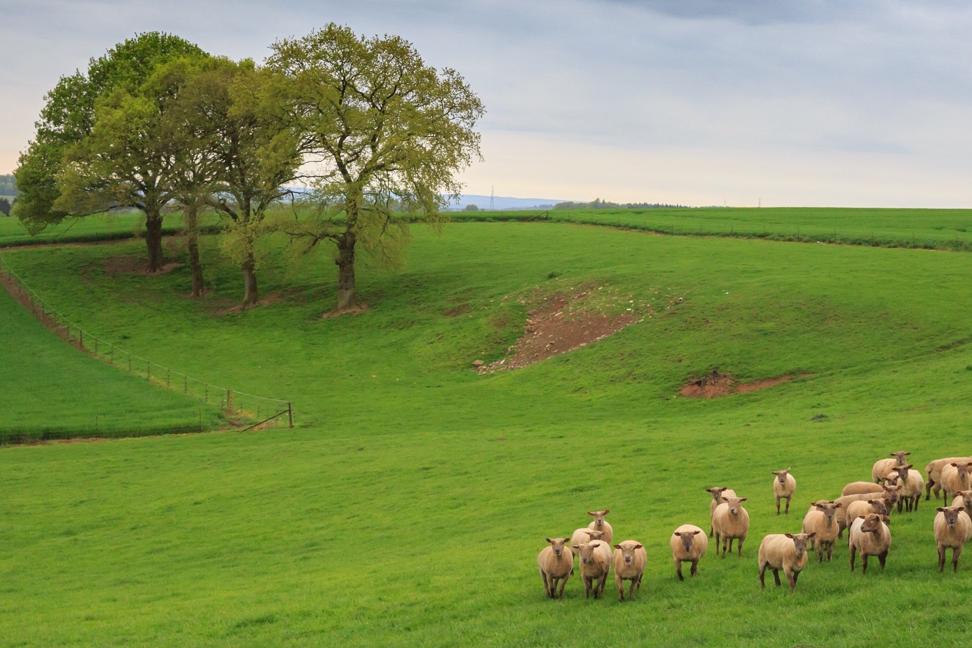 Vakantie Wallonië - Voordelig vakantiepark in de natuur! | TUI