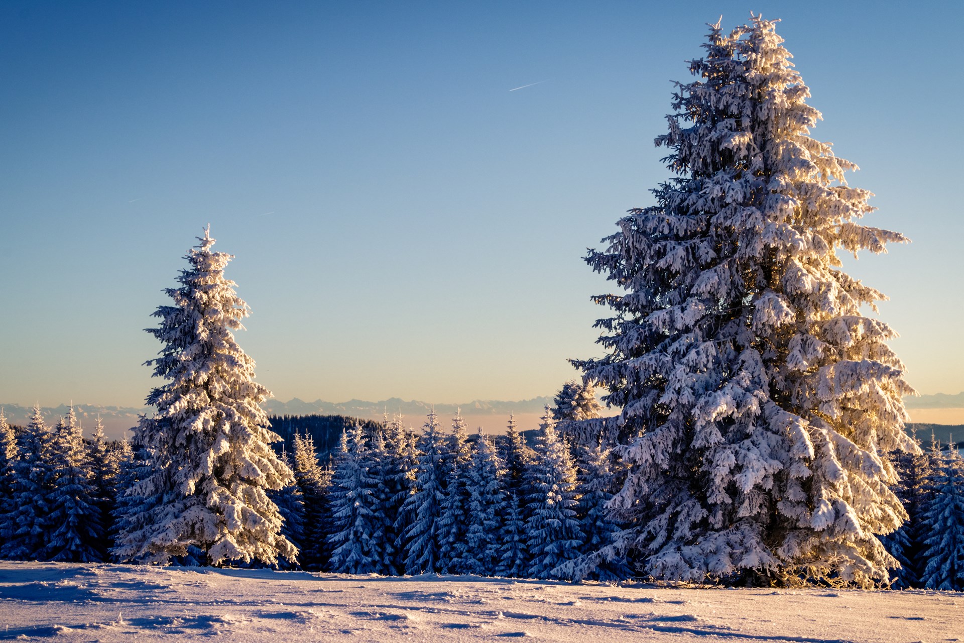 Wintersport Titisee-Neustadt - Skivakantie midden in het Zware Woud | TUI